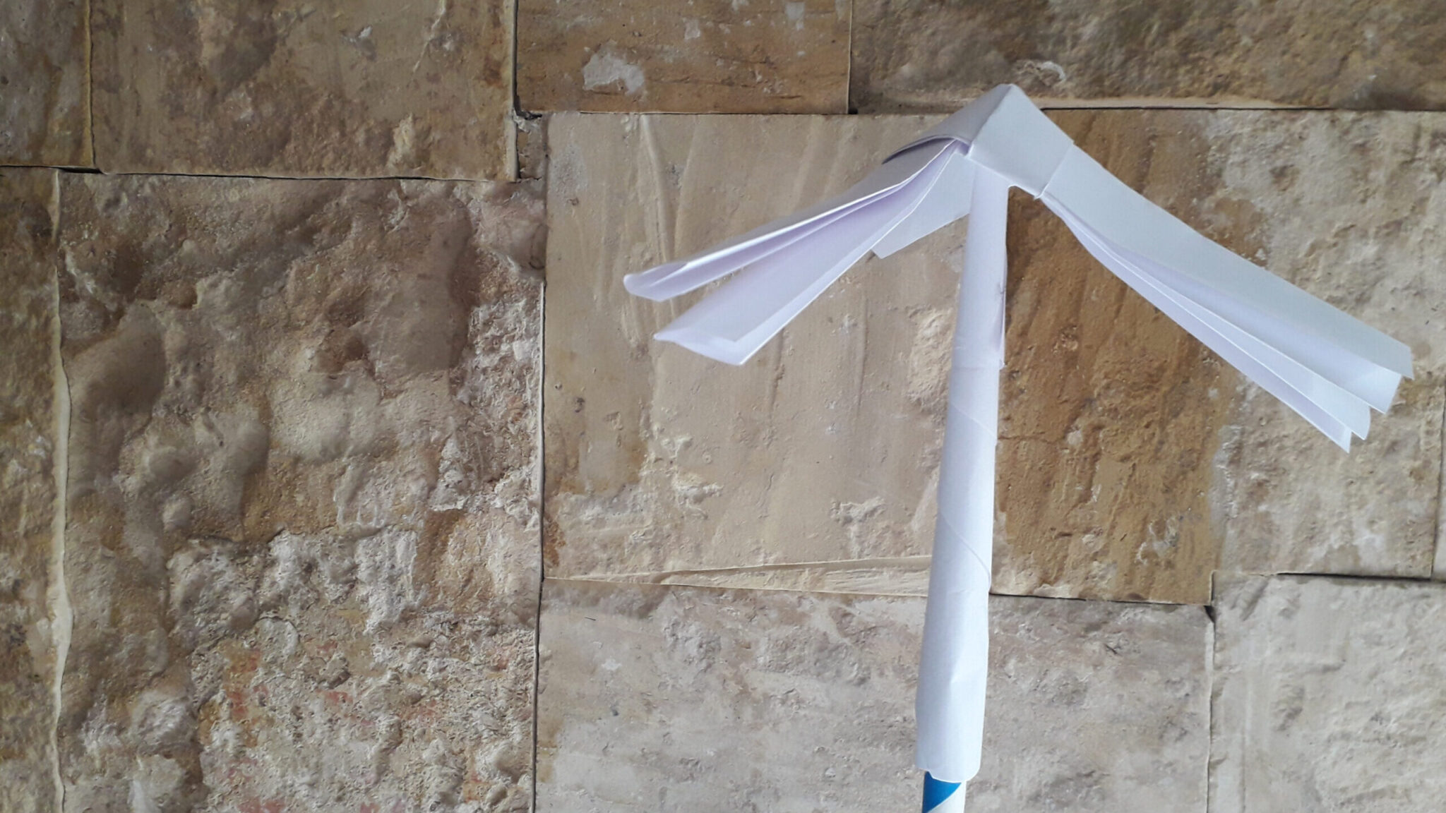 One Vine – Spiritual Development in Schools