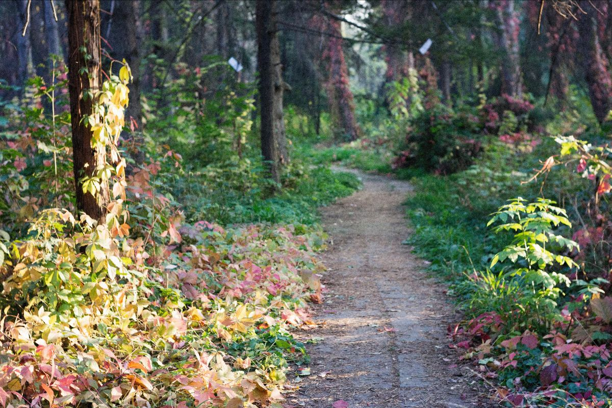 Explore – Spiritual Development in Schools